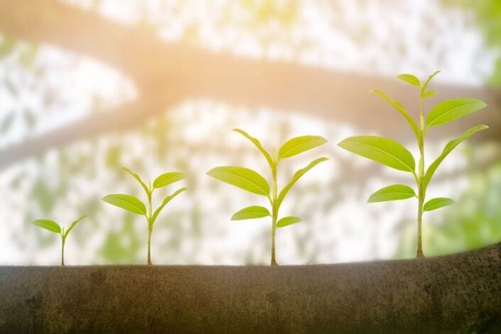 How To Use Your TFSA Contribution Room For Maximum Returns